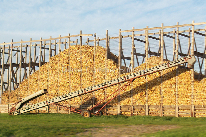 corn cribs - Entire Landscapes
